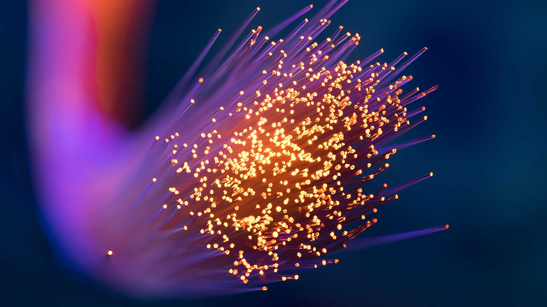 Hvad er fibernet? Og hvad er fordelene? Få svaret her